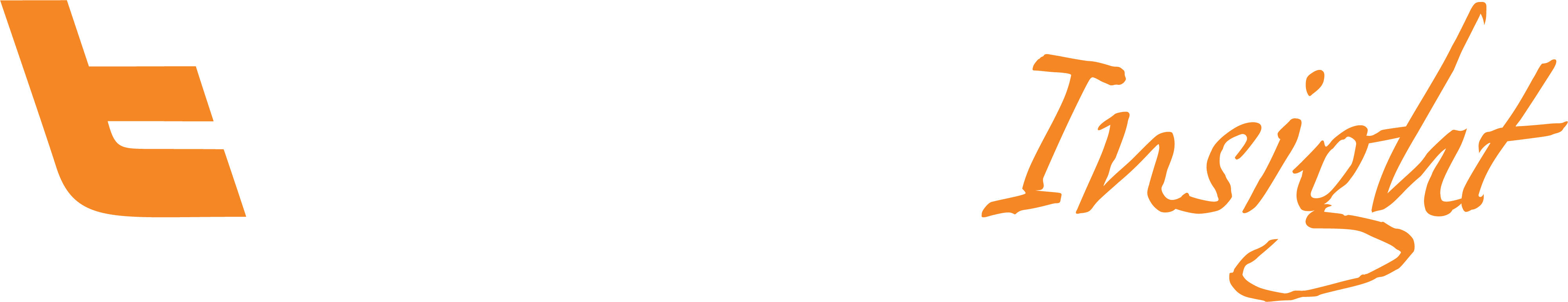 ReviewInsight – Ticodi